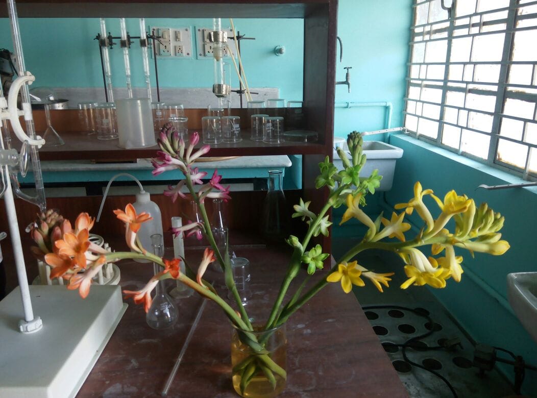 Krishna Kumari's Review On BCKV - Bidhan Chandra Krishi Viswavidyalaya ...